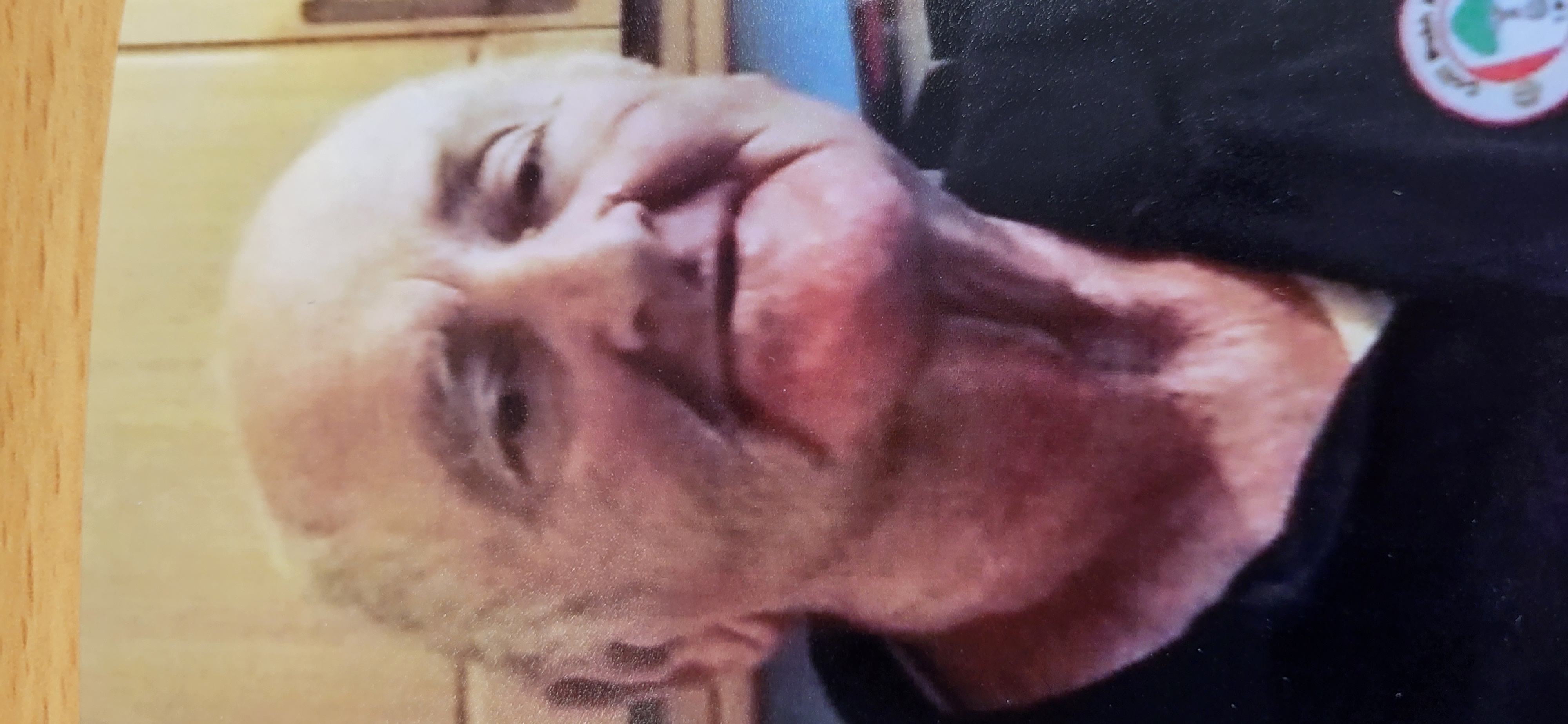 Death Notice of Patrick (Paddy) Sullivan (Hogan) (Coill Dubh, Kildare ...