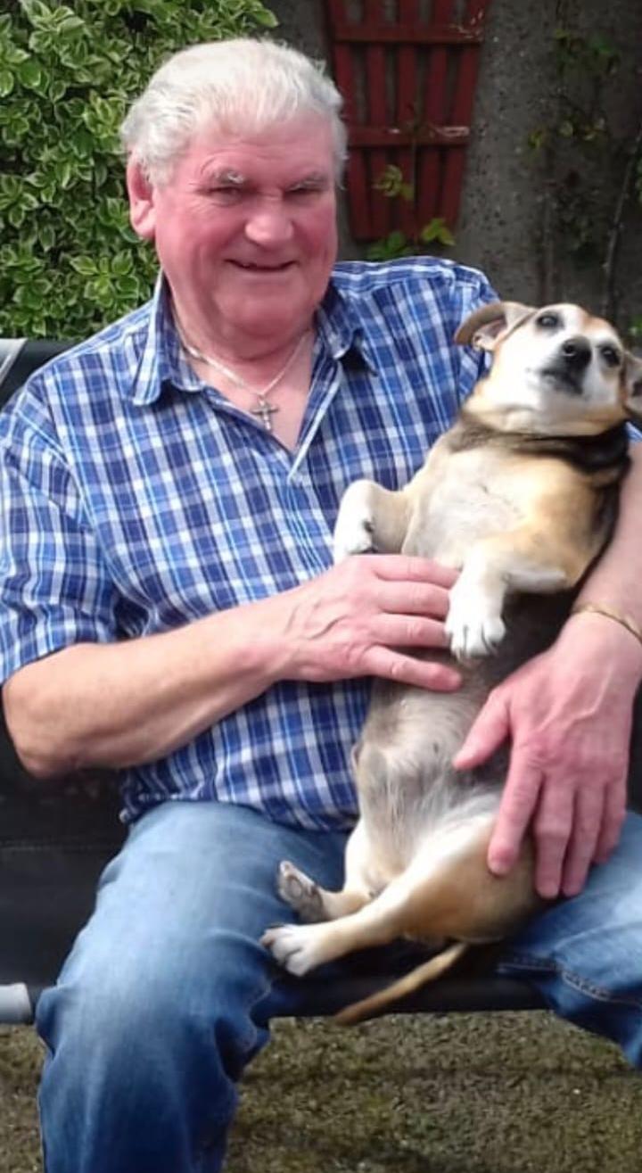 Death Notice of Johnny Rowe (Stradbally, Laois) | rip.ie