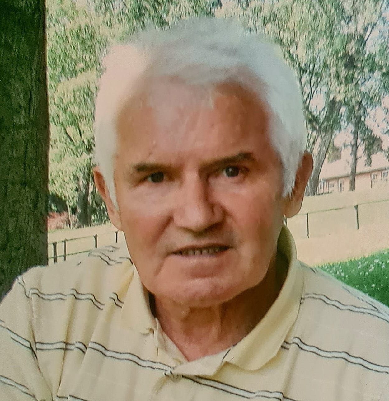 Death Notice of James (Jim) Quinlivan (Ballynacally, Clare) | rip.ie