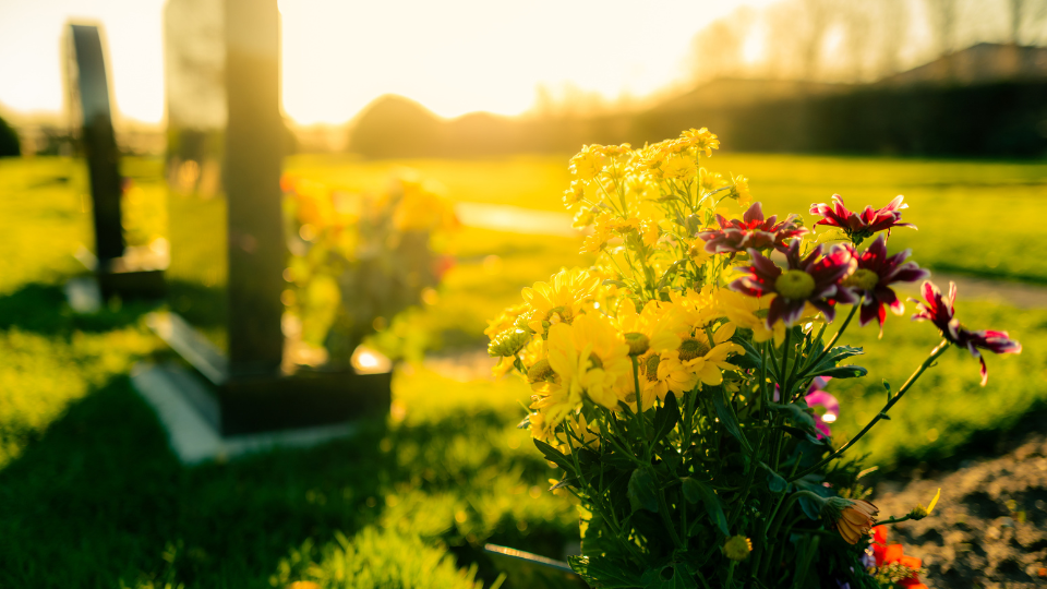 Irish Association of Funeral Directors (IAFD) – Supporting Standards in ...
