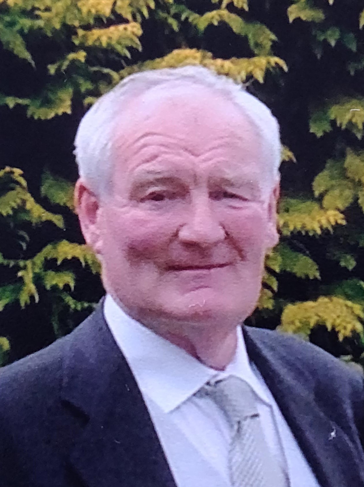 Death Notice of John Ryan (Devane) (Newport, Tipperary) | rip.ie