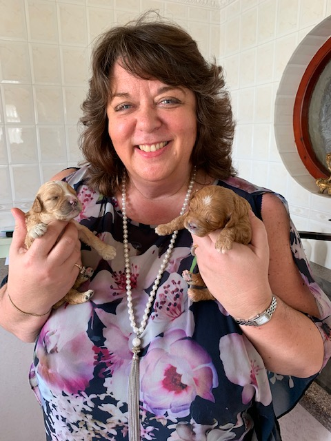 Death Notice of Karen SCANLAN (née Moore) (Bray, Wicklow) | rip.ie