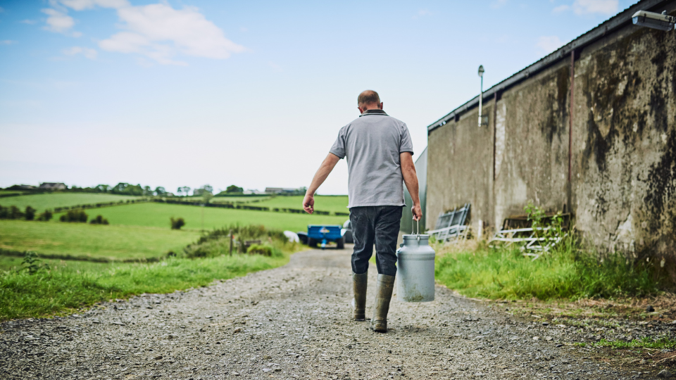 Life After Loss: Coping with Grief Following a Farm Accident | rip.ie