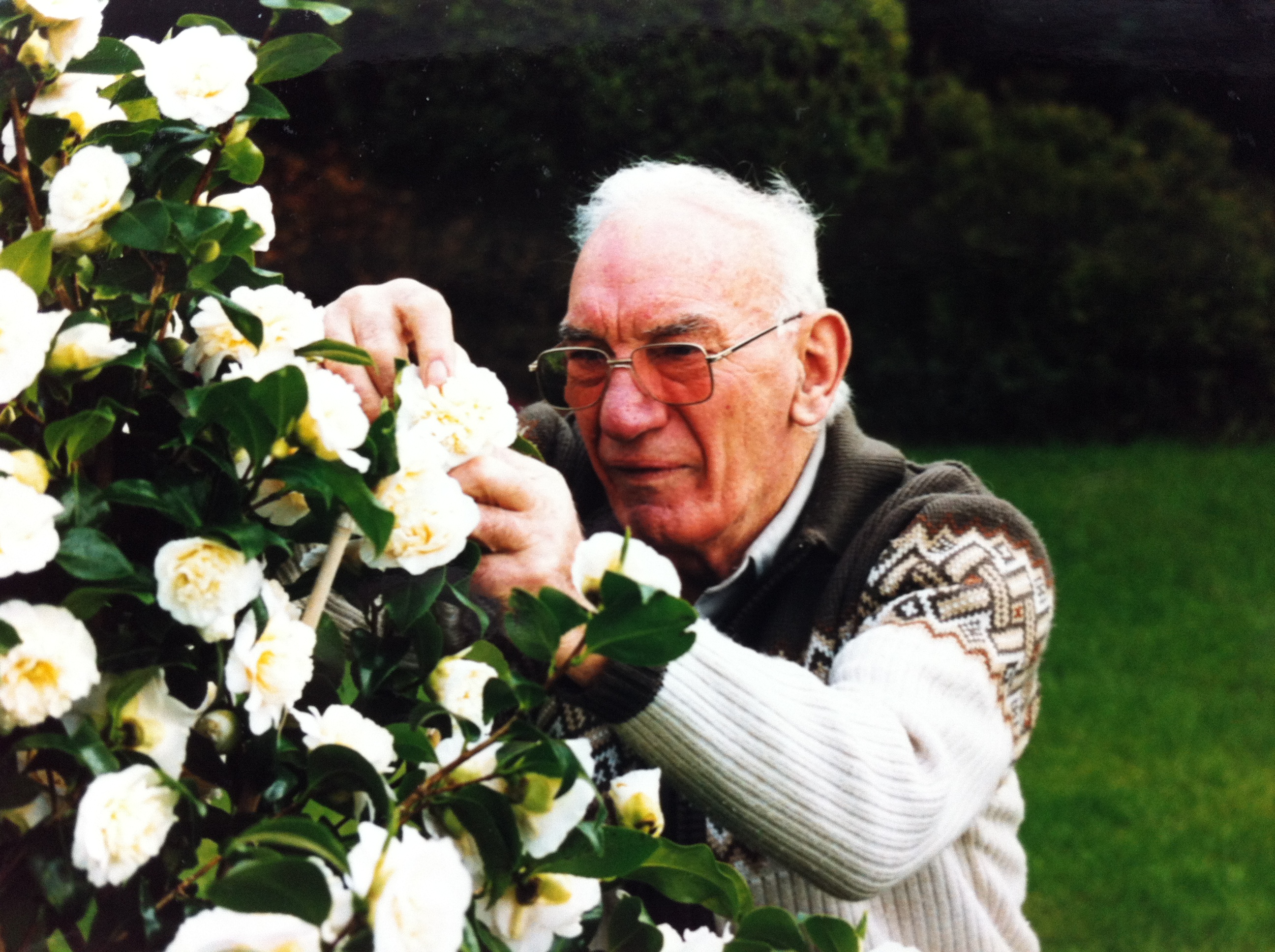 Death Notice of Malcolm Edwards (Nenagh, Tipperary) | rip.ie