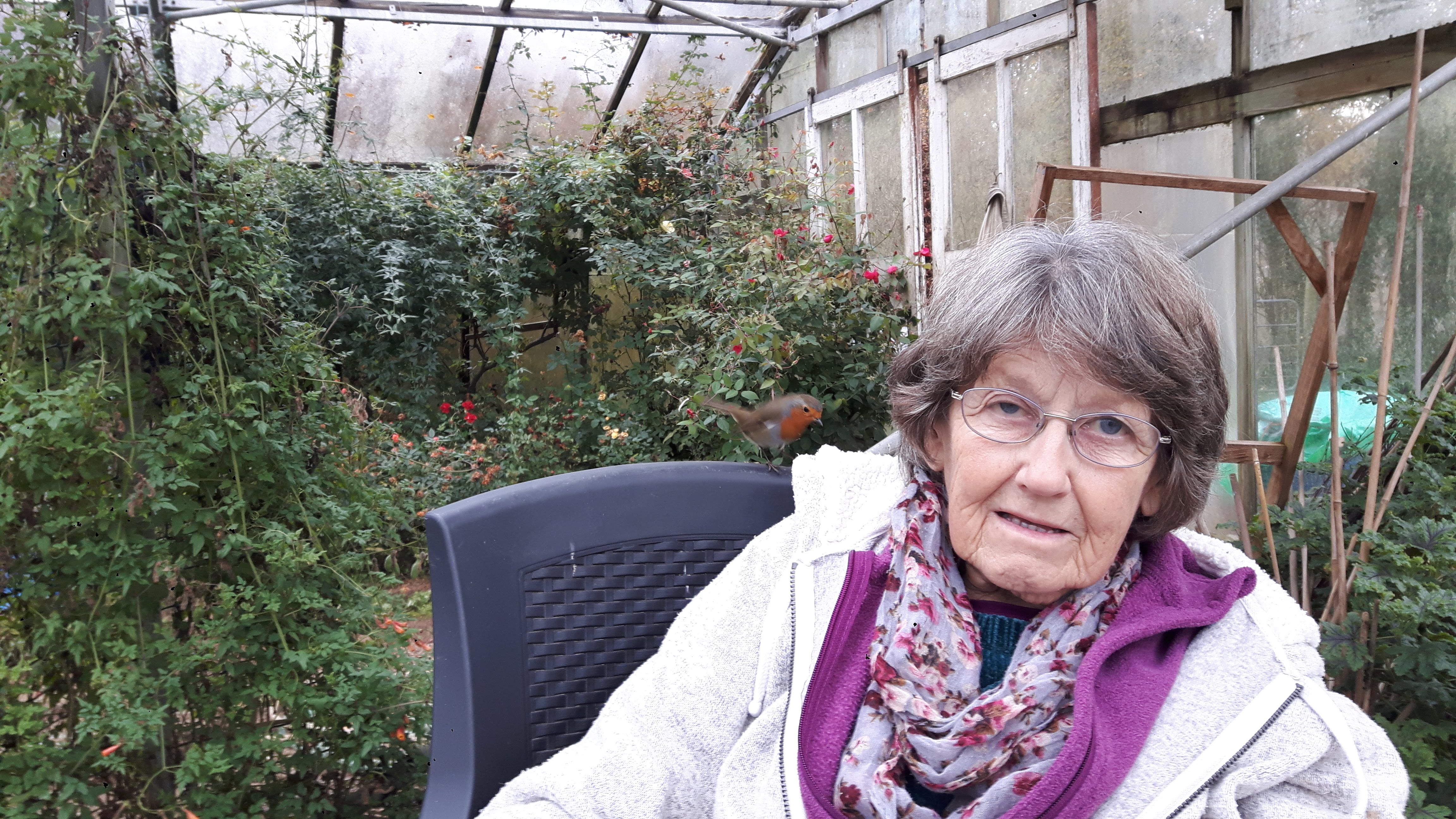 Death Notice of Lilian McDONNELL (née Nolan) (Avoca, Wicklow) | rip.ie