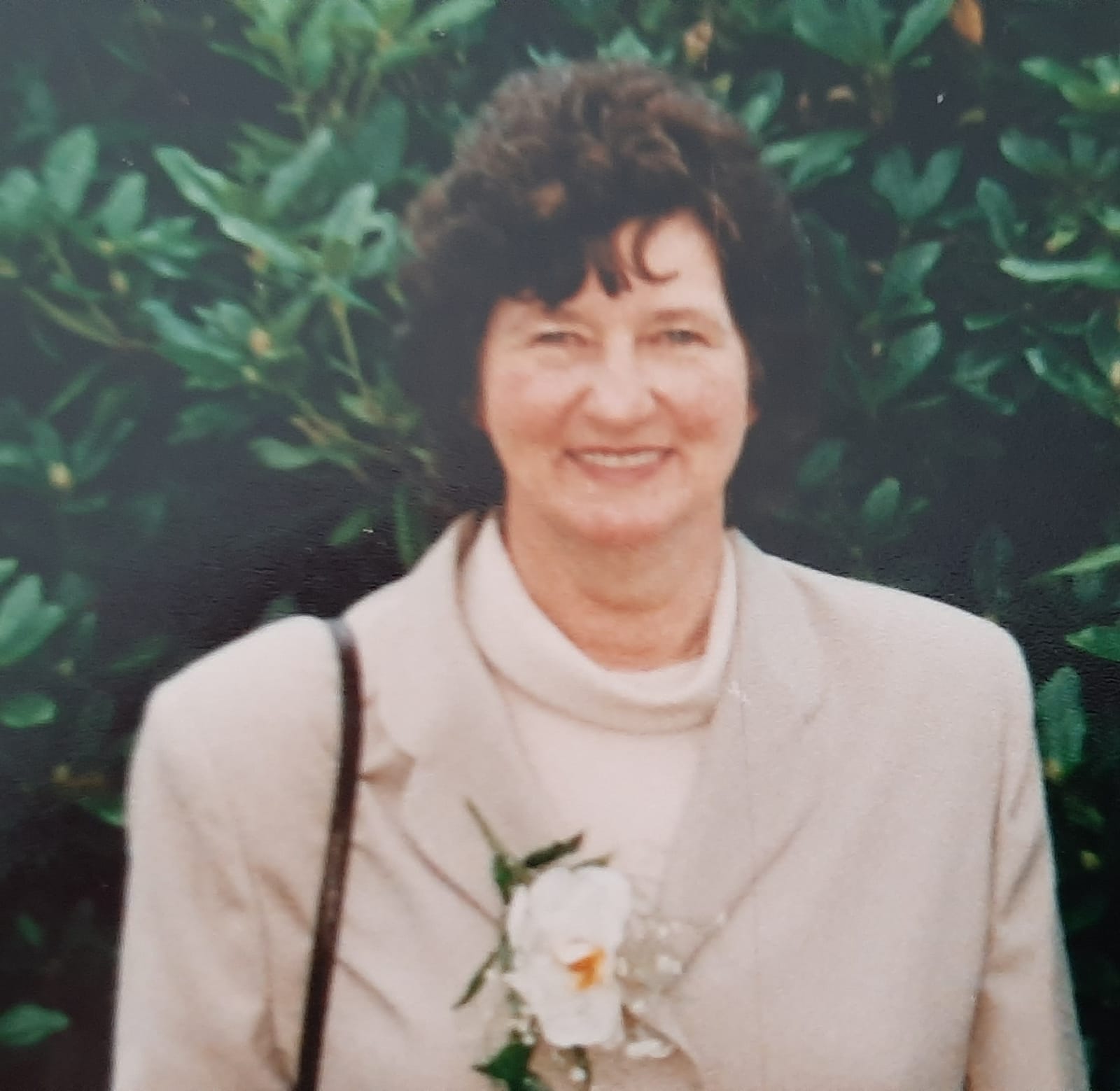 Death Notice of Noelle McCarthy (née Pyburne) (Timoleague, Cork) | rip.ie