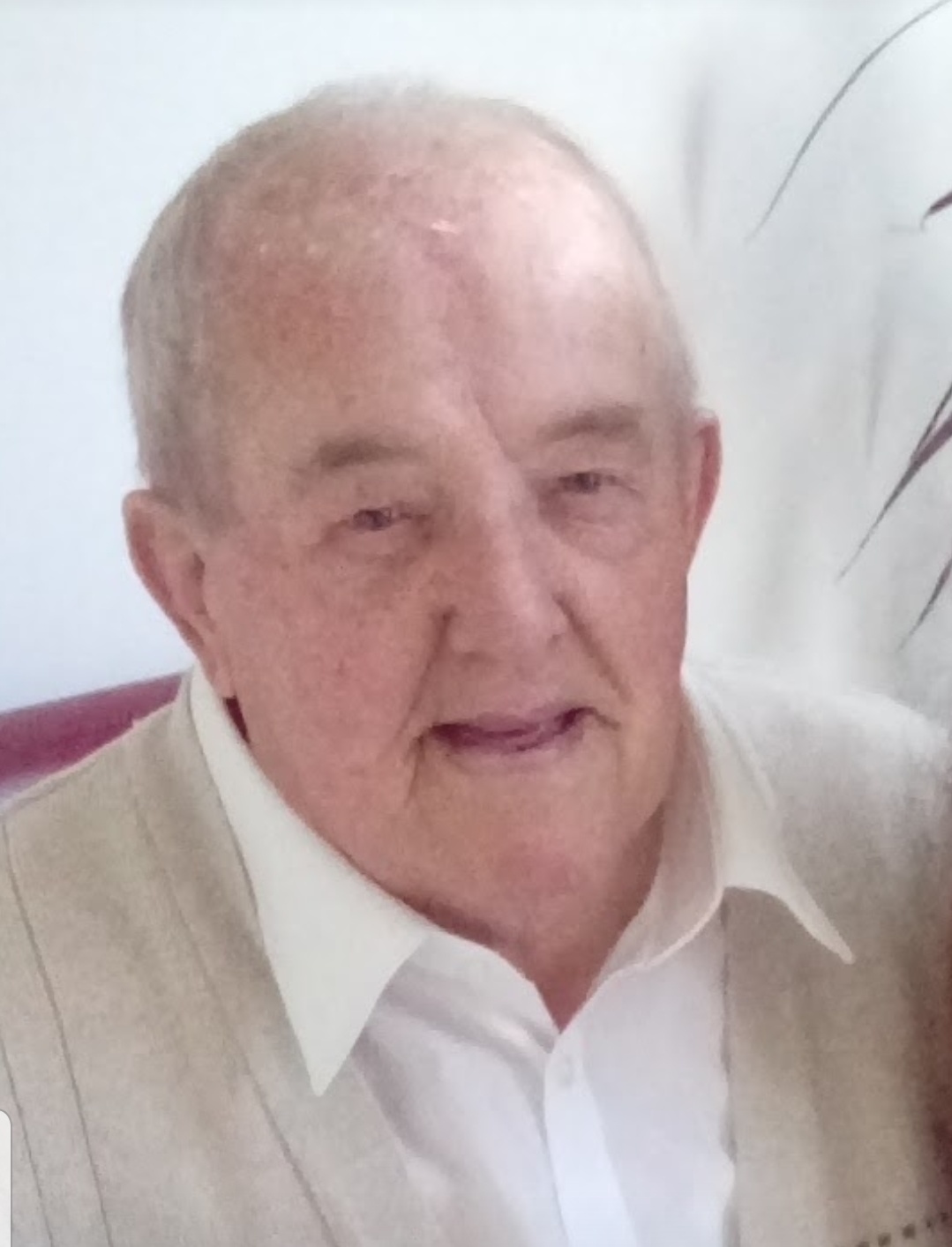 Death Notice of Paddy Treacy (Limerick City, Limerick) | rip.ie