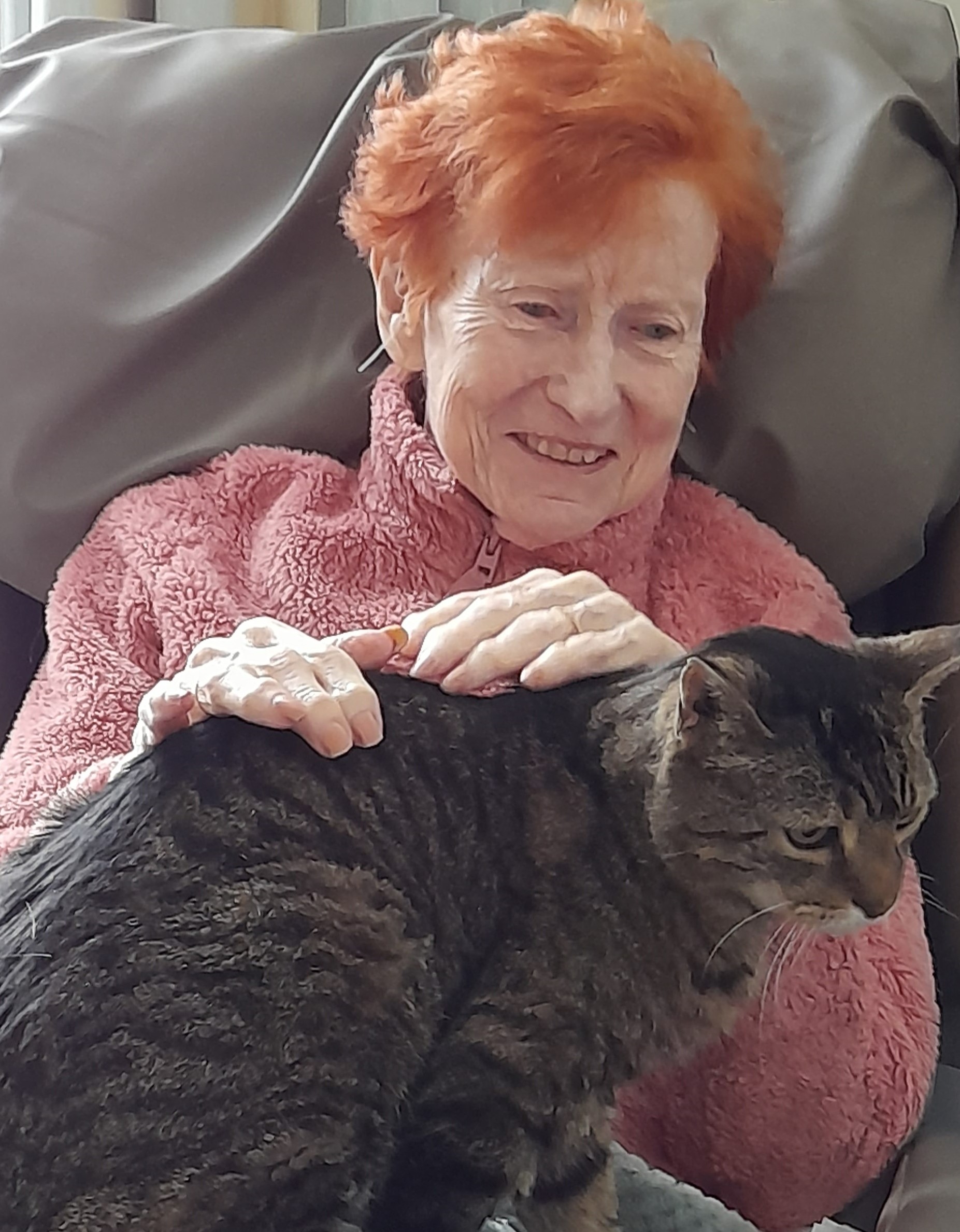 Death Notice of Phyllis (Phil) Kelly (née Campbell) (Stillorgan, Dublin ...