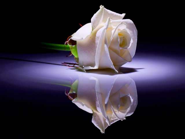 Death Notice of Cora Harkin (née Eaton) (Athy, Kildare) | rip.ie