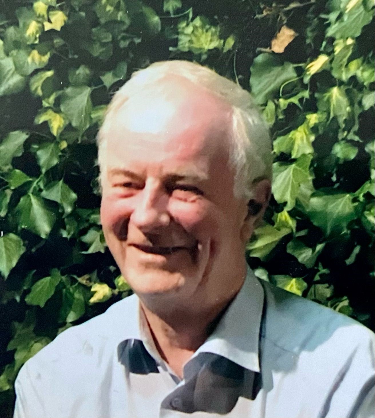 Death Notice of Tim O'BRIEN (Leopardstown, Dublin) | rip.ie