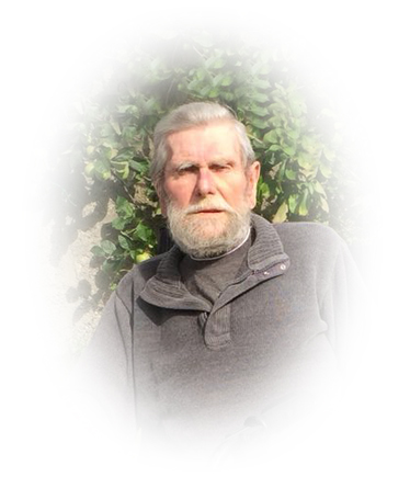 Death Notice of William James (Bill) Wallace (Delgany, Wicklow) | rip.ie