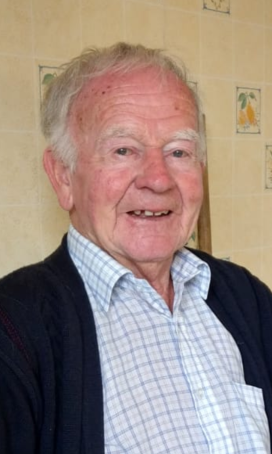 Death Notice of Daniel (Dan) BOYLAN (Templeogue, Dublin) | rip.ie