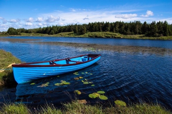 Death Notice of Edward Flannery (Nenagh, Tipperary) | rip.ie