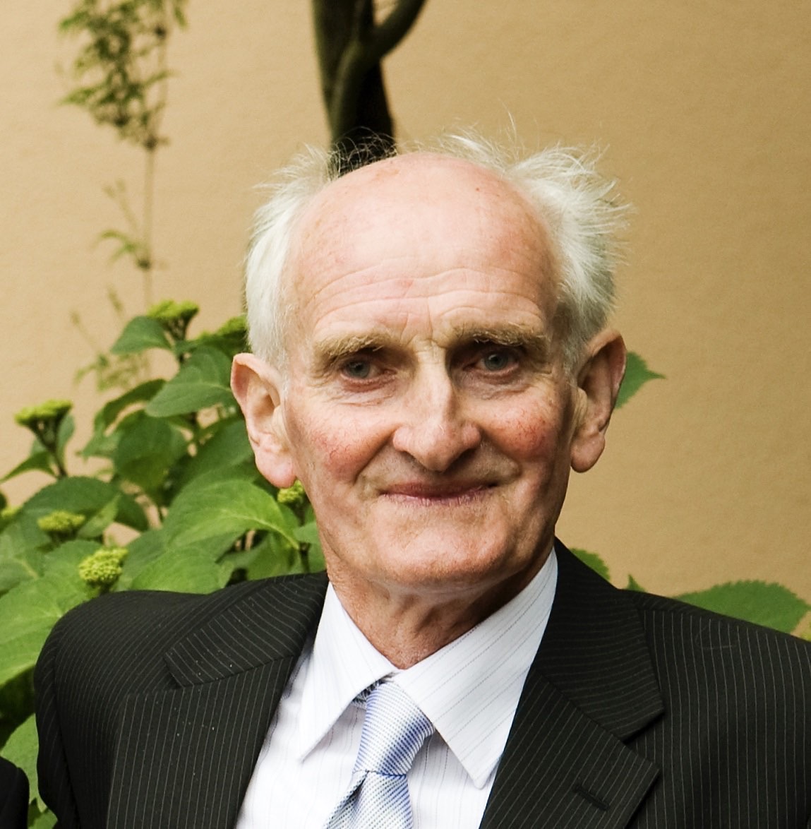 Death Notice of Michael Queally (Dungarvan, Waterford) | rip.ie