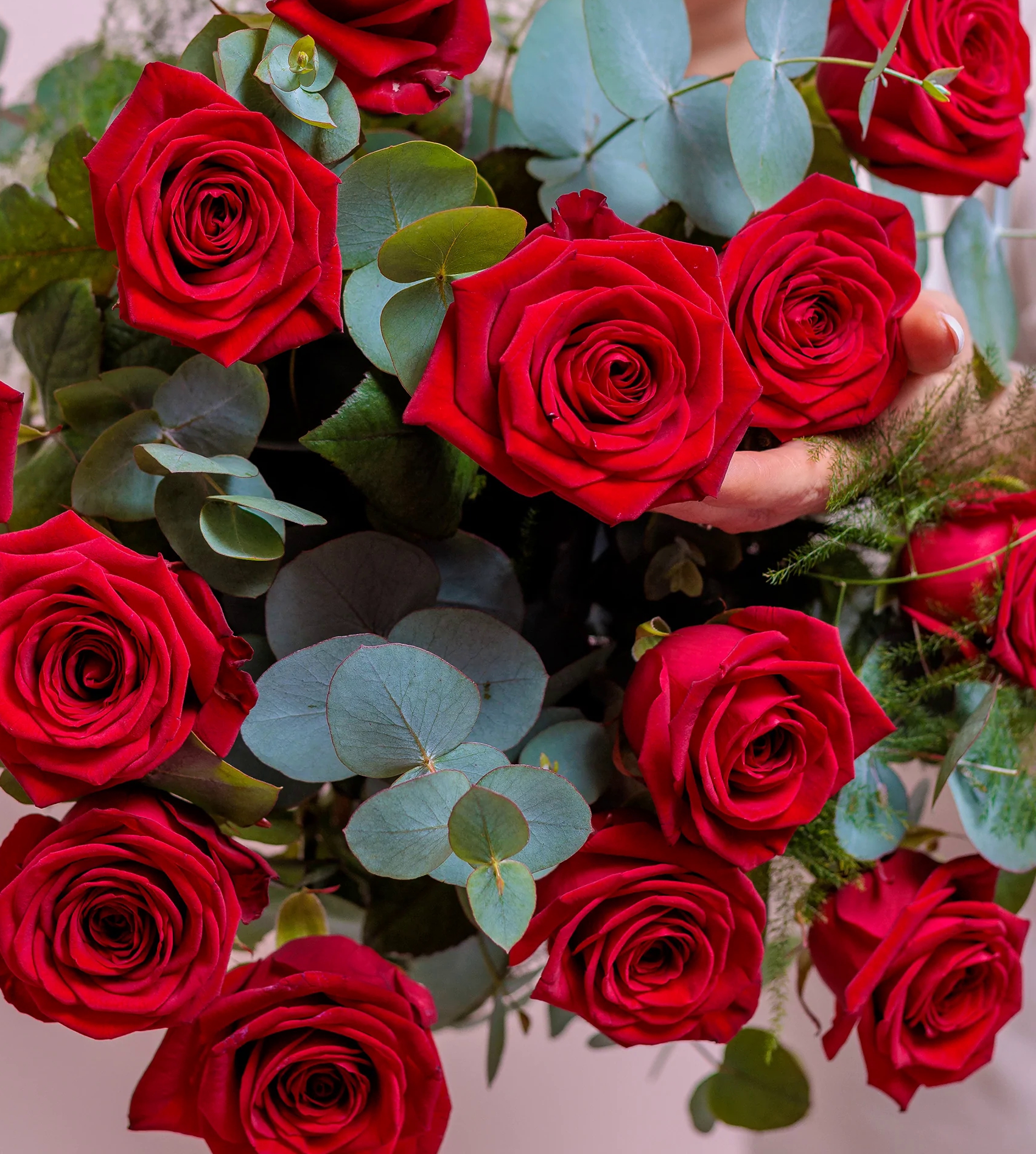 Death Notice of Timothy (Tim) Kavanagh (Delgany, Wicklow) | rip.ie