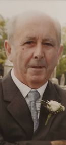 Death Notice of Michael Losty (Clonard, Meath) | rip.ie