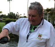 Condolence Book for Ann Ladd (née Conway) (Castletownroche, Cork) | rip.ie