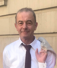 Death Notice of Conall Hayes (Enniskerry, Wicklow) | rip.ie