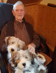Death Notice of Danny Hassett (Nenagh, Tipperary) | rip.ie