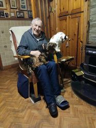 Death Notice of Paddy Enright (Castlemahon, Limerick) | rip.ie