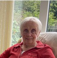 Condolence Book for Philomena Hanevy (Moate, Westmeath) | rip.ie