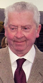 Death Notice of Michael CRONIN (Naas, Kildare) | rip.ie