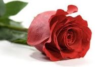 Condolence Book for Phyllis WELBY (née McCormack) (Santry, Dublin) | rip.ie