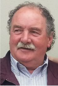 Death Notice of Patrick Foley (Pallasgreen, Limerick) | rip.ie