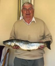 Death Notice of Tommy Hession (Ballybane, Galway) | rip.ie