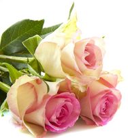 Death Notice of Esther Dineen (née Cronin) (Kealkill, Cork) | rip.ie