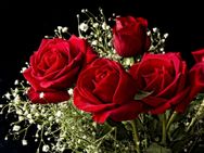 Death Notice of Maura Daly (née McHugh) (Tuam, Galway) | rip.ie