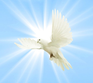 Death Notice of Helen Neilson (née Hughes) (Balally, Dublin) | rip.ie