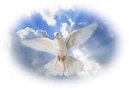 Death Notice of Jim Lavin (Castlerea, Roscommon) | rip.ie