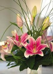 Death Notice of Maria Maher (Templemore, Tipperary) | rip.ie