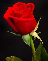 Death Notice of Patricia Carruthers (Galway) | rip.ie