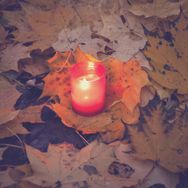 Death Notice of Bridget Weir (née Holton) (Celbridge, Kildare) | rip.ie