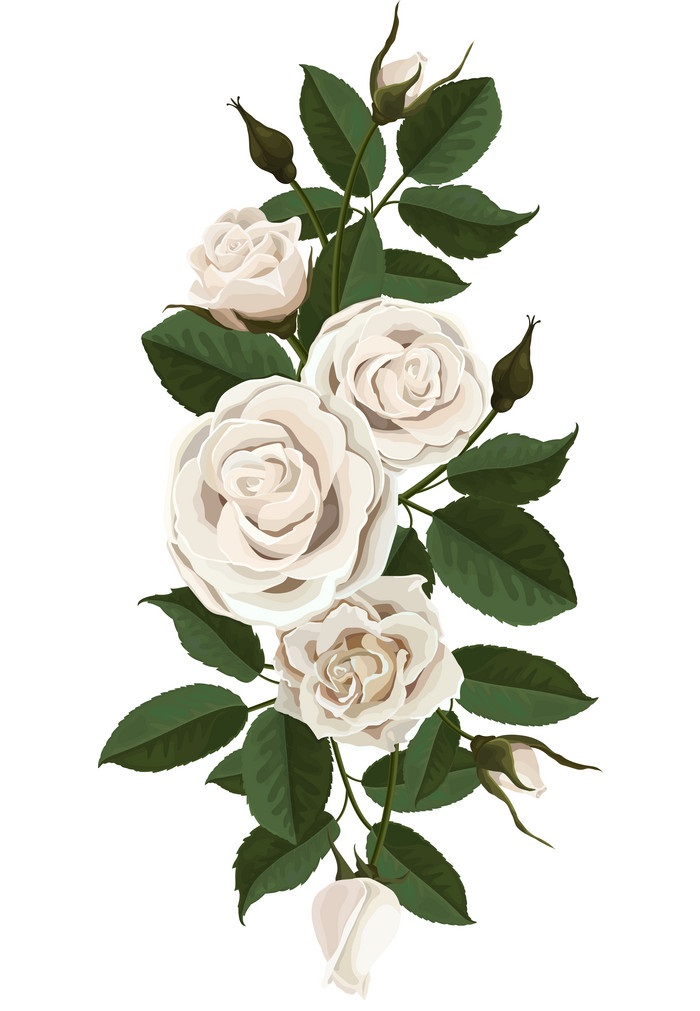 Death Notice of Eva Caroline Behan (née Hamill) (Glasnevin, Dublin ...